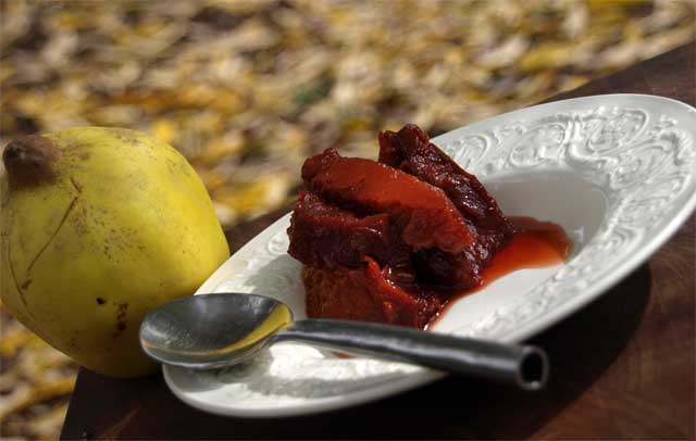Autumnal Stewed Quince - Andrew Dwyer - The Cast Iron CookAndrew Dwyer ...